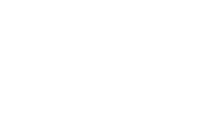 2 FLY CO - Western Wholesale Brand – 2 Fly Co.